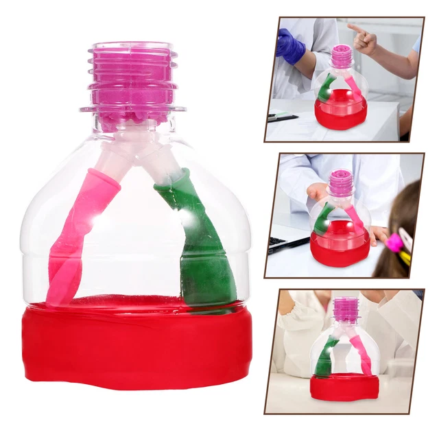 LUNG MODEL SCIENCE Kit Physiological Educational Breathing Pupils £7.68 ...