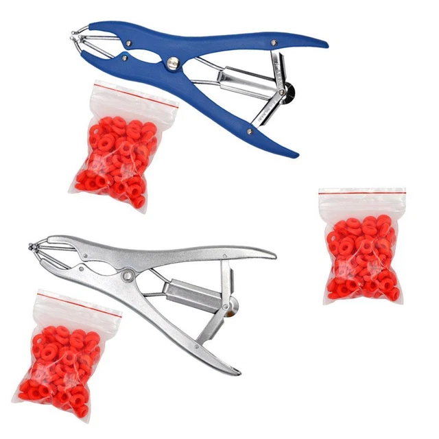ANIMAL CASTRATION PLIERS, Pig Piglet Cutting Tail Docking Clamp, for ...