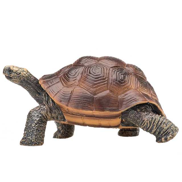 MOJO GALAPAGOS TORTOISE Wild zoo animals play model figure toy plastic ...