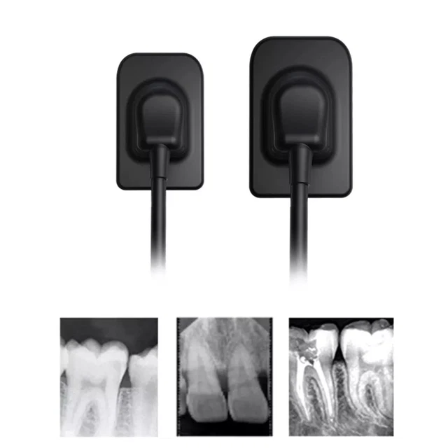 DENTAL RVG SENSOR X Sensor Intraoral Digital Imaging System i Sensor ...