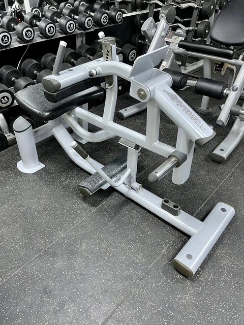 LIFE FITNESS PLATE Loaded Seated Calf Raise Leg Machine Gym Equipment ...