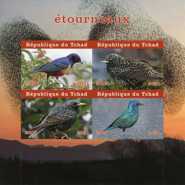 CHAD BIRDS ON Stamps 2021 MNH Starlings Starling 4v IMPF M/S EUR 11,07 ...
