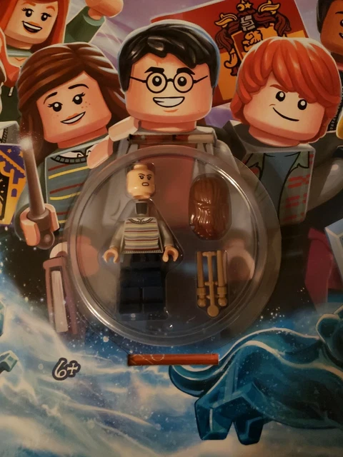 LEGO (R) HARRY Potter (TM): Official Yearbook 2023 (with Hermione ...