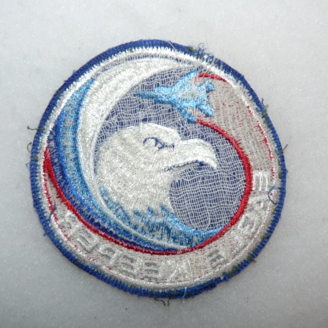 USAF 318TH FIGHTER Interceptor Squadron FIS F-15 Eagle Keeper patch ...