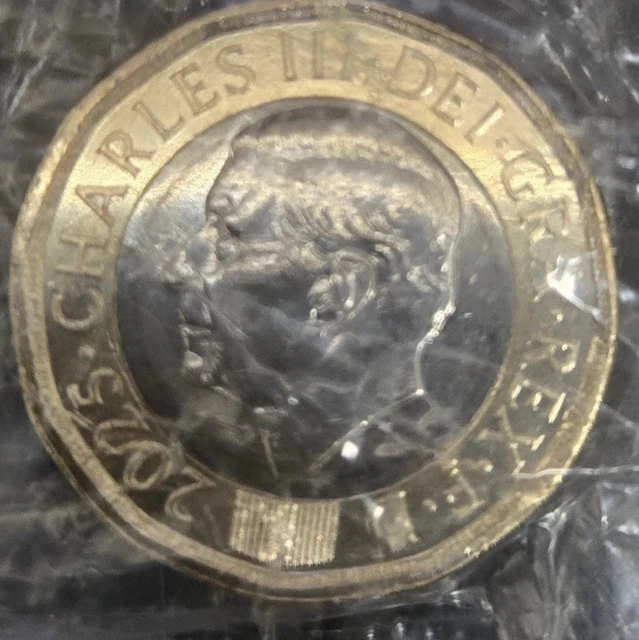 2025 KING CHARLES Bees £1 One Pound Coin From A Sealed Bag £2.22 ...