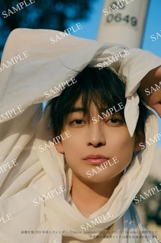 CALENDRIER DE BUREAU Takahashi Fumiya 2026 EUR 65,94 - PicClick FR