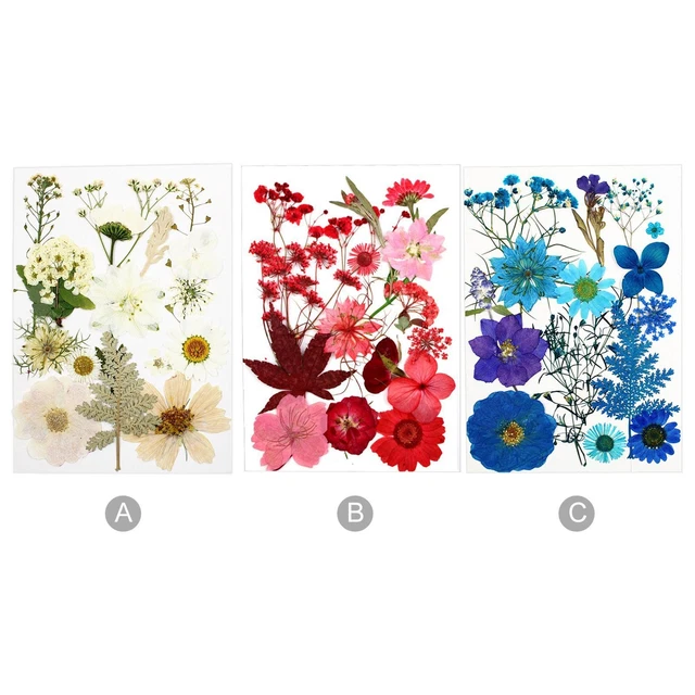 1 BAG DRIED Pressed Flowers Assorted Natural Flower Dry Leaves for ...