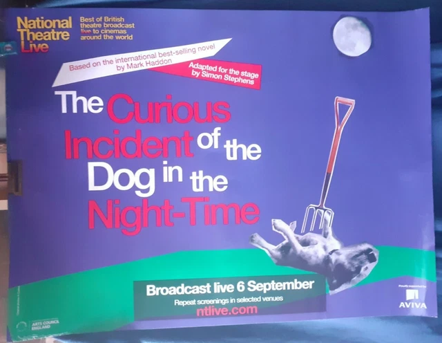 THE CURIOUS INCIDENT Of The Dog In The Night Time Original Quad Cinema ...