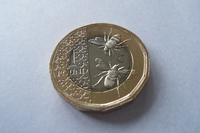 2025 £1 ONE Pound Rare Low Mintage King Unc Bees 170,000 £4.98 ...