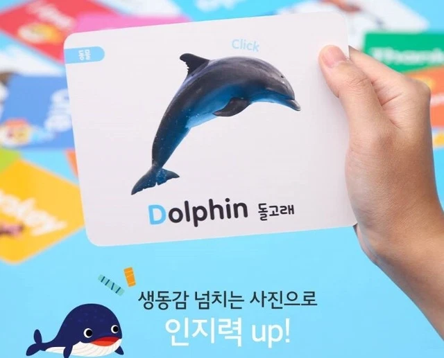 PINKFONG BABY SHARK Family English Alphabet Flash Vocabulary Card 120 ...