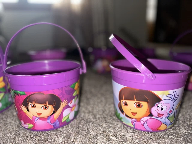 DORA FLOWER ADVENTURE Explorer Nick Jr Kids Birthday Party Favor ...