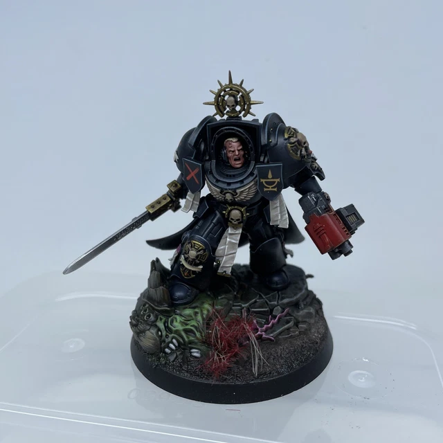 WELL PAINTED WARHAMMER 40k Blood Angels Death Company Terminator ...