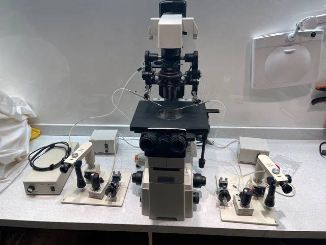 NIKON TE2000 Inverted Narishige manipulat Microscope Micromanipulator ...