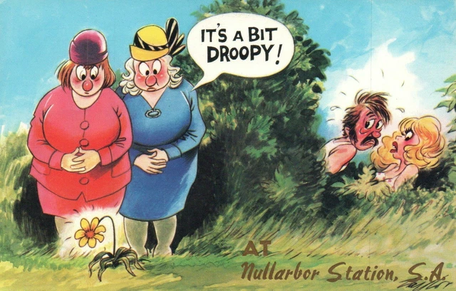 RUDE RISQUE COMIC BAMFORTH IT'S a BIT DROOPY at NULLARBOR STATION ...