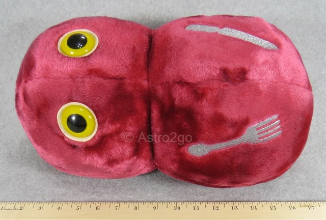 GIANT MICROBE-GIGANTIC FLESH-EATING DISEASE-Stuffed Plush Strep ...