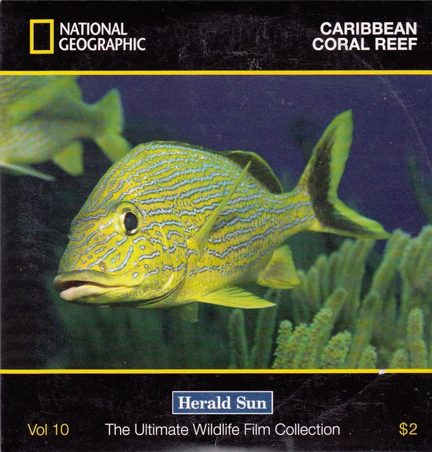 DVD NATIONAL GEOGRAPHIC - Caribbean Coral Reef - Totally Wild ...