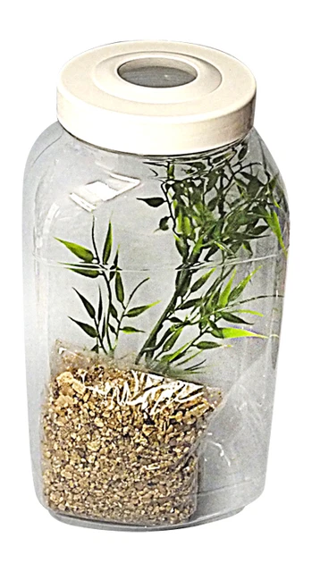 PRAYING MANTIS,STICK INSECT,TARANTULA,INSECT,CAGE,HABITAT,ENCLOSURE EUR ...