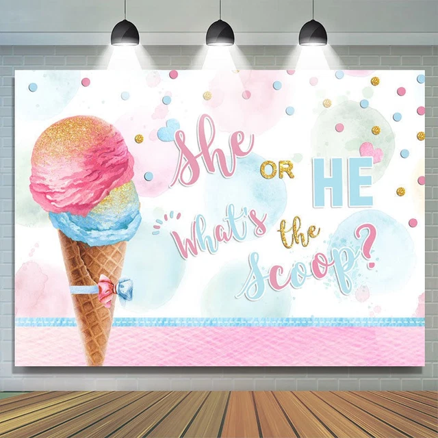 ICE CREAM SHE Or He Pink Blue Gender Reveal Backdrop $35.97 - PicClick AU