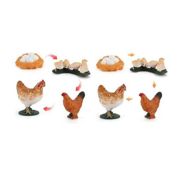 CHICKEN LIFE CYCLE Growth Cycle Model Set Figures Learning Toy for Kids ...