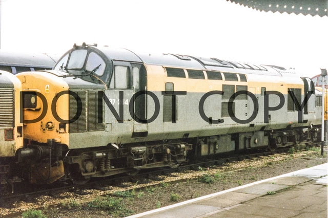 UK DIESEL TRAIN Railway Photograph Of Class 37 Loco 37264. Rm37-914 £1. ...