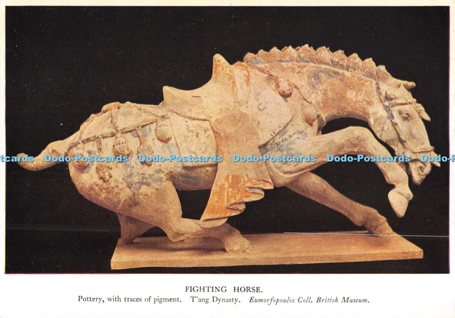 D009209 FIGHTING HORSE. Pottery. Tang Dynasty. Eumorfopoulos Coll ...