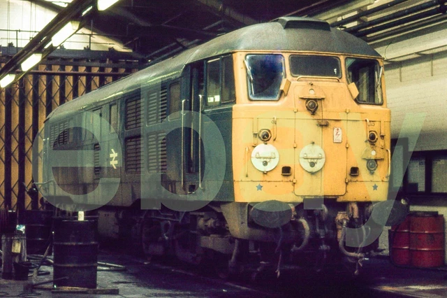UK RAILWAY PHOTOGRAPH Of Class 31 31102. Rm31-19 £1.70 - PicClick UK