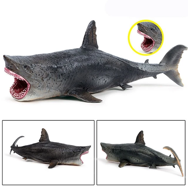SHARK FIGURINES MEGALODON Models Simulation Prehistoric Animal Marine ...