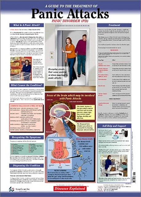 DISEASES EXPLAINED: PANIC Attacks Disorder Educational Poster EUR 13,46 ...