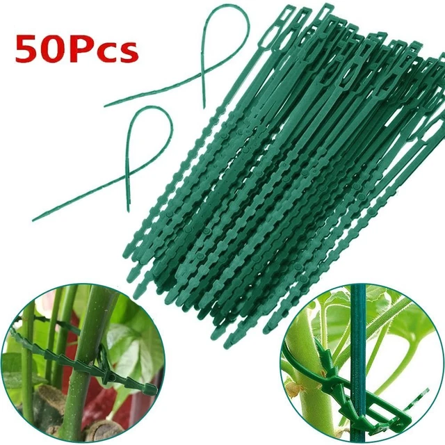 TREE CLIMBING SUPPORT Plant Cable Ties Gardening Fishbone Ties Shrubs ...