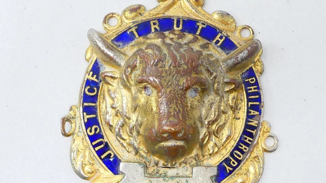 ROYAL ANTEDILUVIAN ORDER of Buffalo RAOB Masonic Lodge Badge Large £5. ...