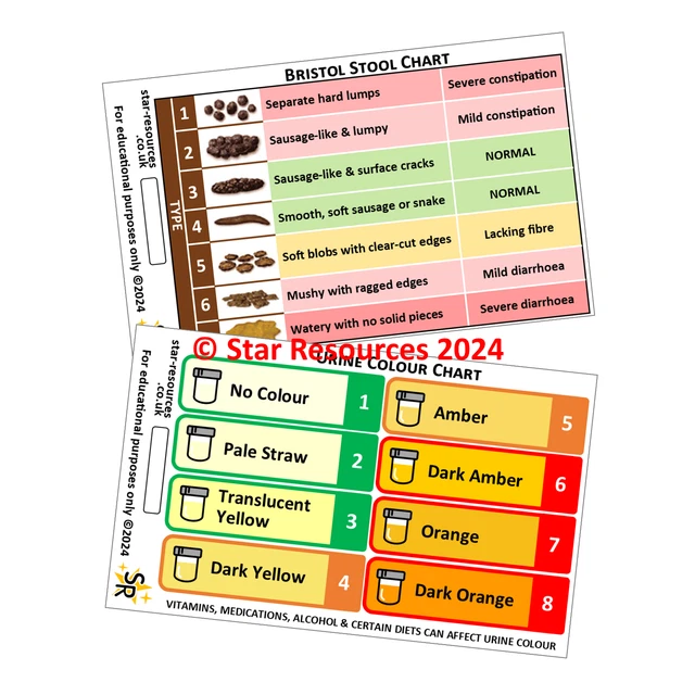 BRISTOL STOOL AND Urine Colour ID Badge Flash Cards Student Ambulance ...