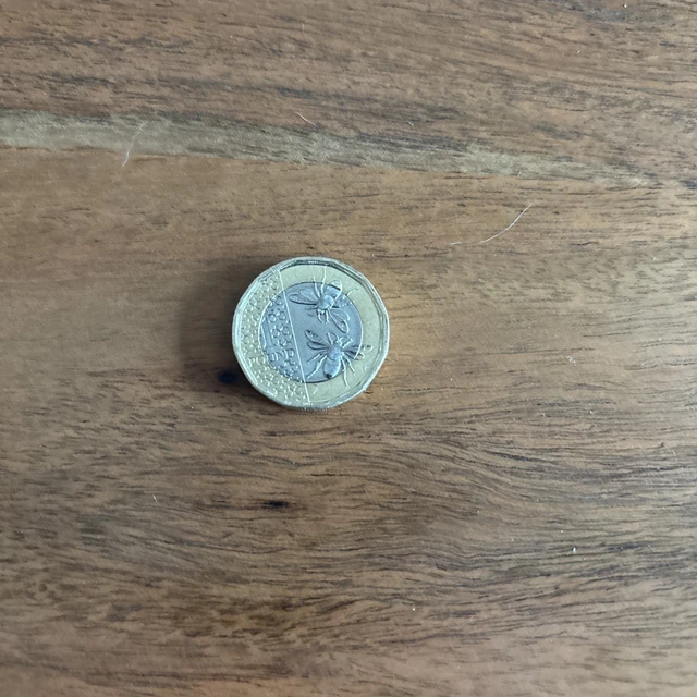 EXTREMELY RARE ERROR 2025 King Charles Iii One Pound Coin With Bees £ ...