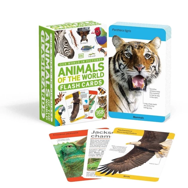 OUR WORLD IN Pictures Animals of the World Flash Cards by DK Cards Book ...