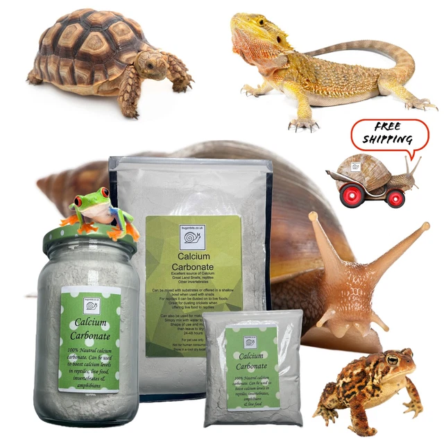 CALCIUM CARBONATE, CALCI powder, Giant African Land Snails, Reptiles ...
