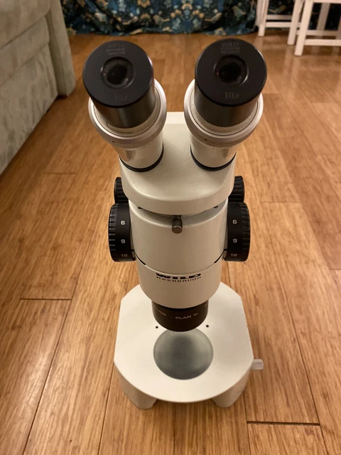WILD HEERBRUGG STEREO Microscope M8 with Binocular Head and Stand - VGC ...