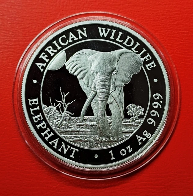 2025 SOMALIA 100 Shillings Wildlife Elefant ST / BU 1 oz Silber 999/ ...