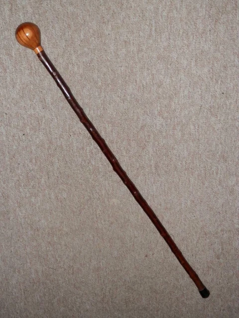 ANTIQUE HAZEL WALKING Stick/Cane - Large Polished Ball Root Handle - 90 ...