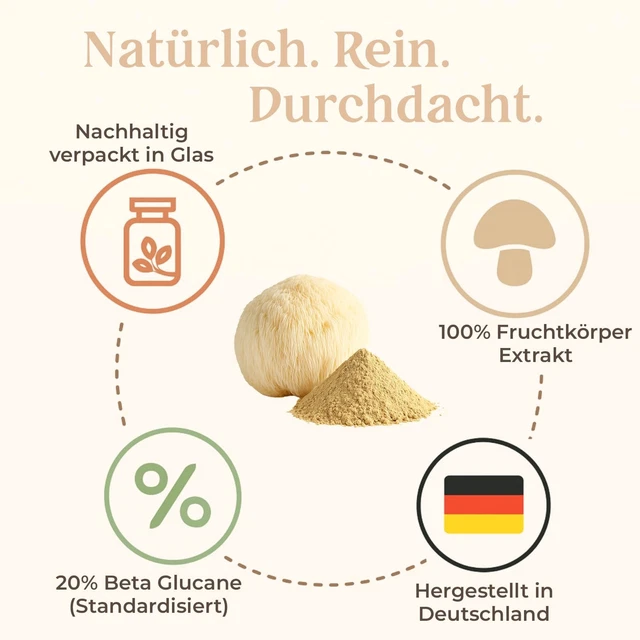 LION’S MANE KAPSELN Hericium erinaceus – 120 vegane Kapseln – Extrakt ...