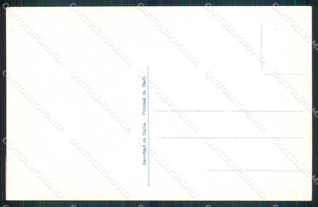 TORINO CITTÀ FIUME Po Foto cartolina MZ9367 $11.56 - PicClick AU