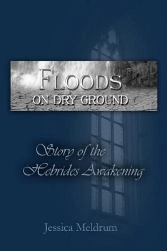 JESSICA MELDRUM FLOODS On Dry Ground (Poche) EUR 9,25 - PicClick FR