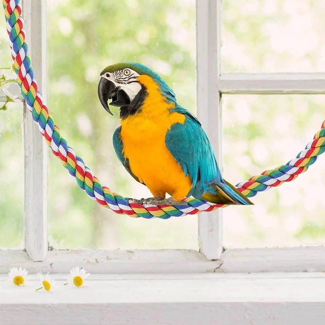 PET BIRD ROPE Perches Parrot Cage Climbing Rope Cockatiel Training Toy ...
