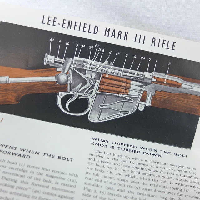 WW1 WW2 SMLE Lee Enfield Rifle Manual .303 Short Magazine Mk Iii ...