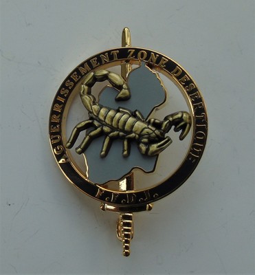 FRENCH DESERT COMMANDO Course Brevet/Badge Djibouti - FFDJ - New £19.99 ...