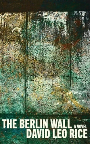 THE BERLIN WALL by Rice, David Leo $59.91 - PicClick AU