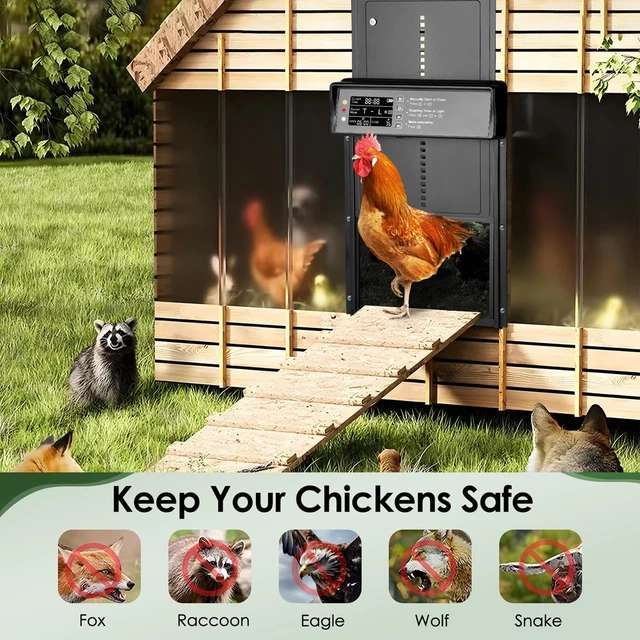 AUTOMATIC CHICKEN COOP Door Solar Powered Opener with Timer Light ...