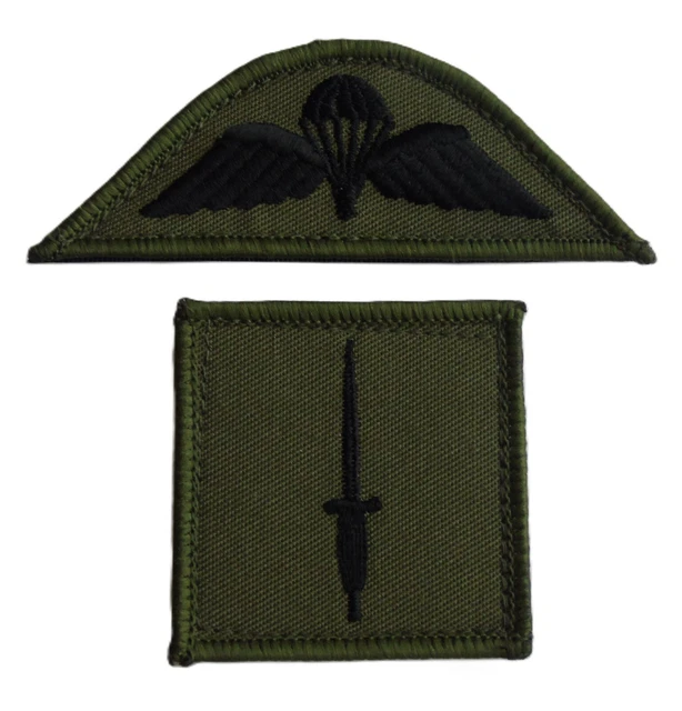 ROYAL MARINES COMMANDO Formation Badge & Parachute Wings FRMU £4.99 ...