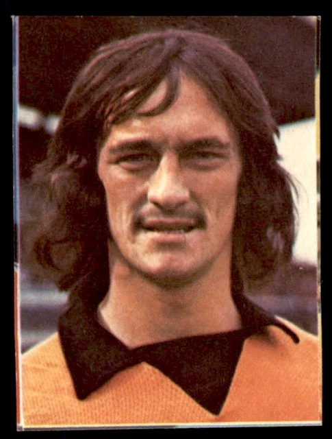 AVA AMERICANA FOOTBALL Special ‘79 - Ken Hibbitt Wolverhampton ...