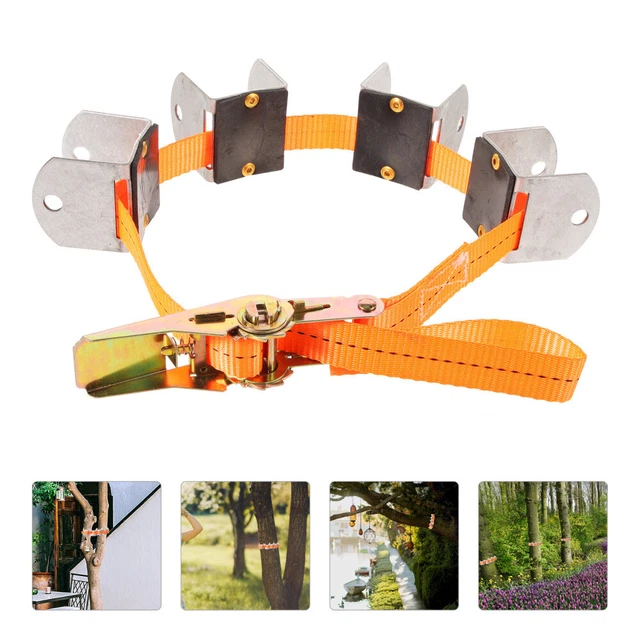 TREE SUPPORT FRAME Fixator Iron Cup Strap Growing Fixing Tool £27.48 ...