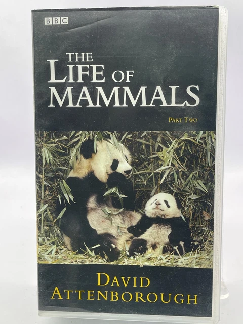 BBC THE LIFE of Mammals David Attenborough VHS Tape £9.99 - PicClick UK