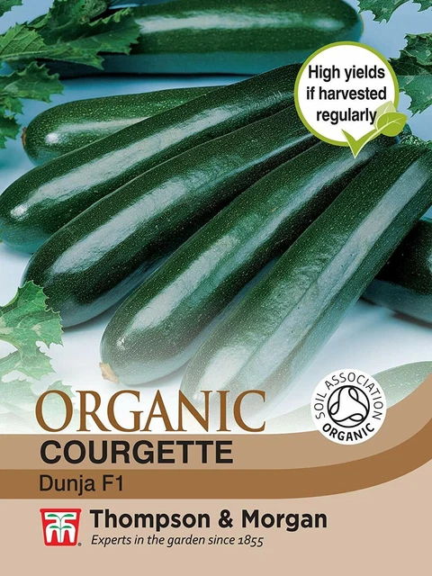 COURGETTE SEEDS VEGETABLE Garden Plants 'Dunja' 1 Packet 4 Seeds T&M £3 ...